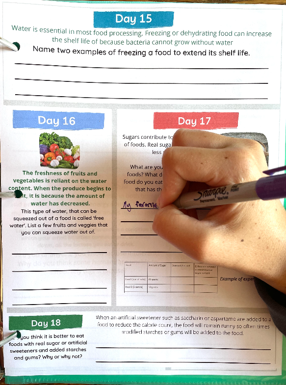 Ways to Use Bell Ringers in High School - Twins and Teaching Culinary ...