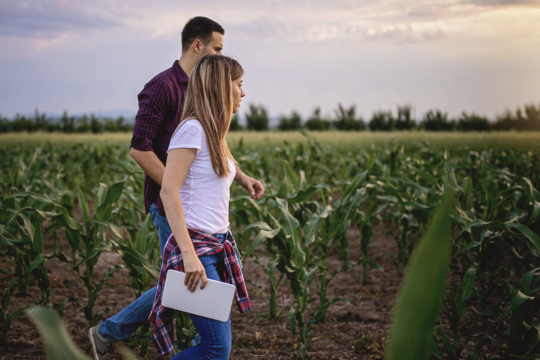 8 Agricultural Activities for High School Students - Twins and Teaching ...